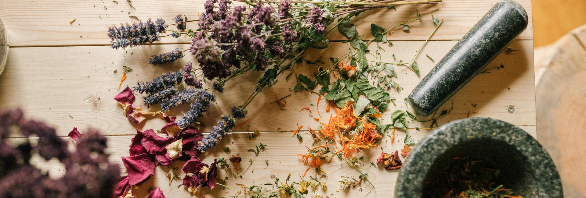 Accueil | Paradis Rose